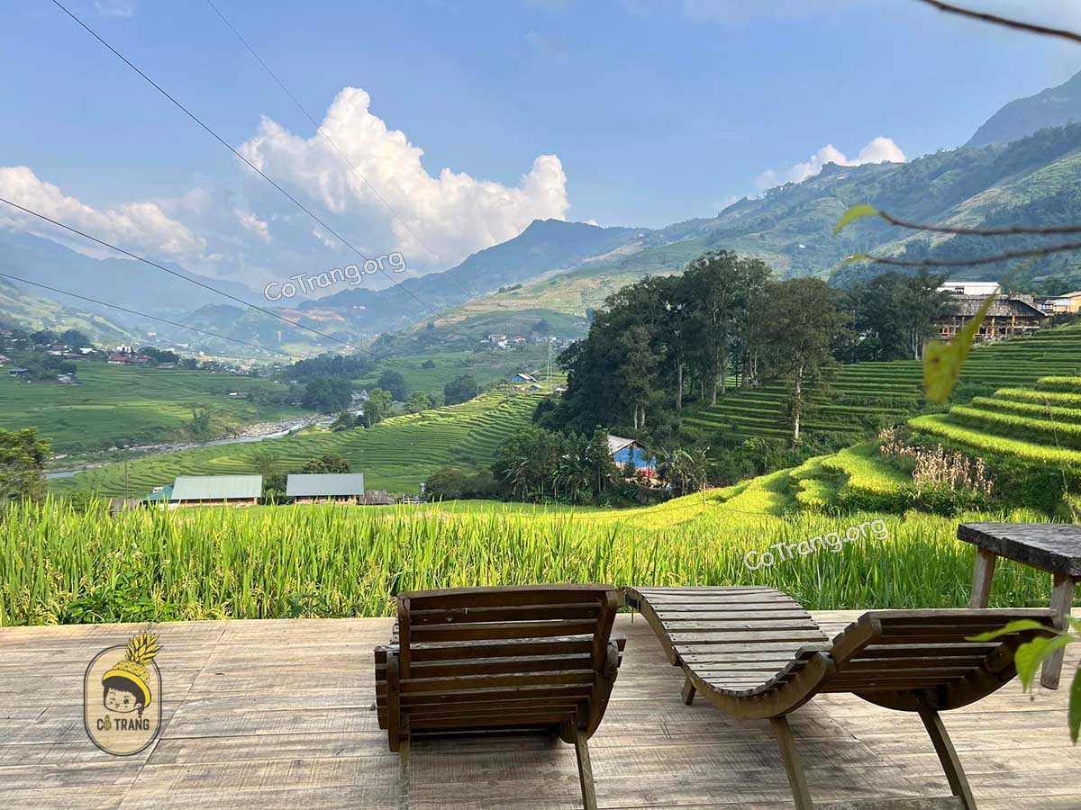 Pavi Garden Coffee Sapa - Một Chiếc View Đồng Lúa Nhẹ Nhàng tại Bản Tả ...