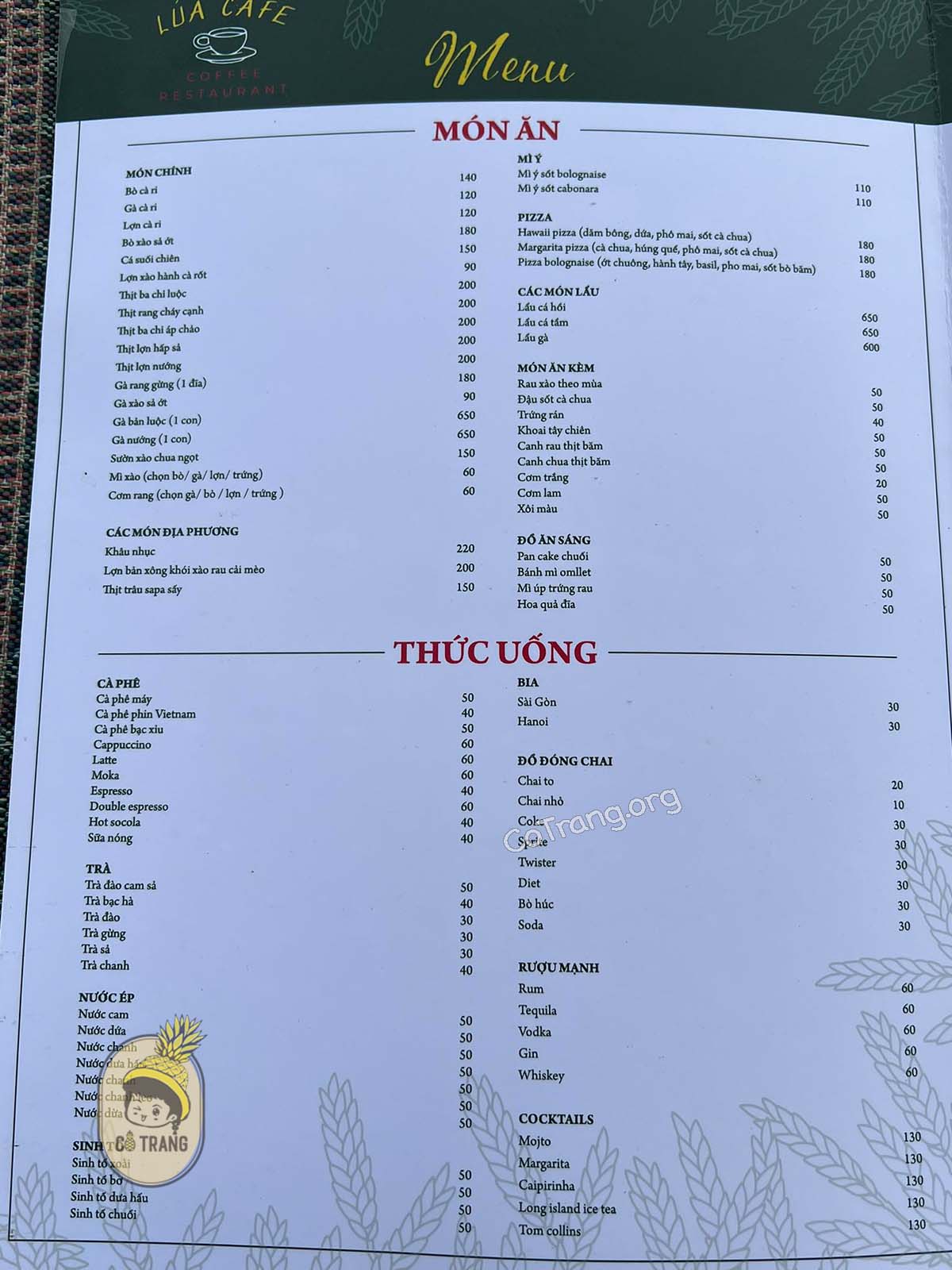 Lúa Cafe Sapa - Toạ Độ Checkin Ruộng Lúa Bật Thang Tuyệt Đẹp, Menu, Review