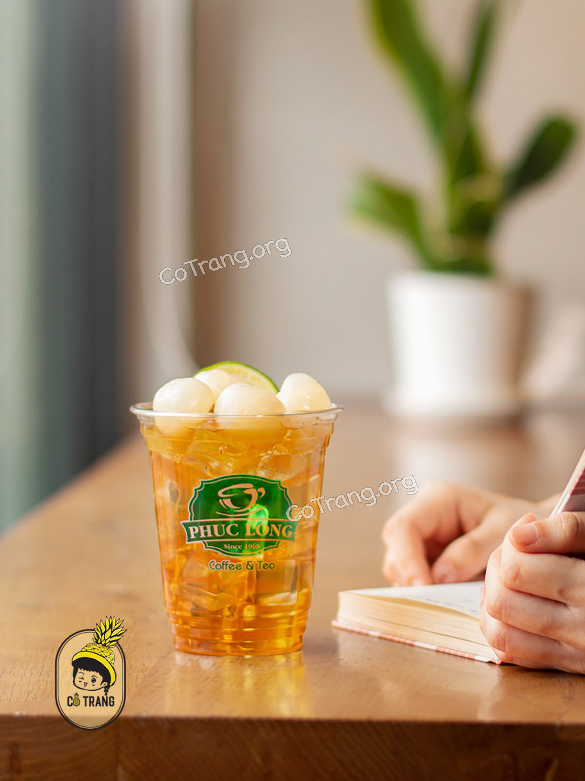 Trà Sữa Phúc Long 511 Trần Hưng Đạo Đà Nẵng - Ngắm cầu Rồng quá đẹp ...