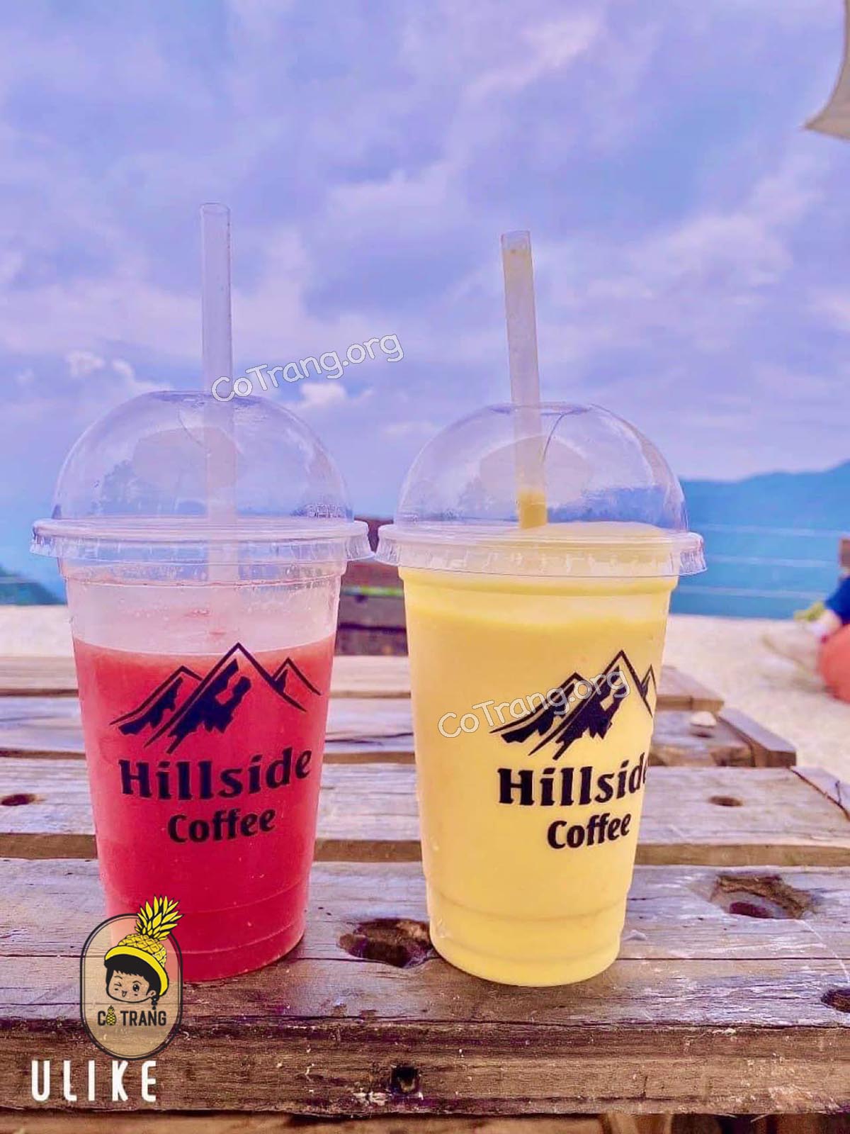 Hillside coffee Tam Đảo - Điểm Checkin Siêu Xinh, Menu, Review