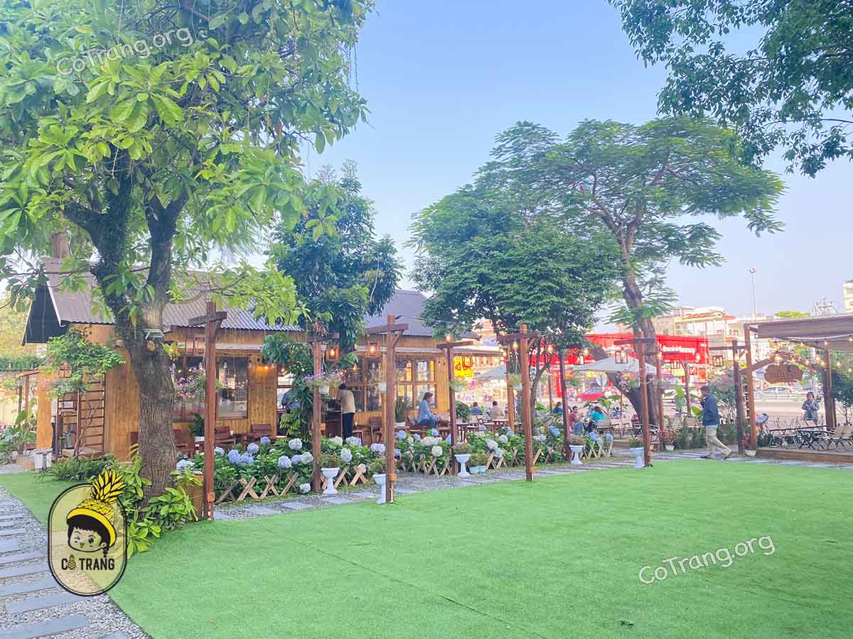 The Muse Coffee Đà Nẵng - Một Đà Lạt nhẹ nhàng, checkin cưng xỉu, menu ...