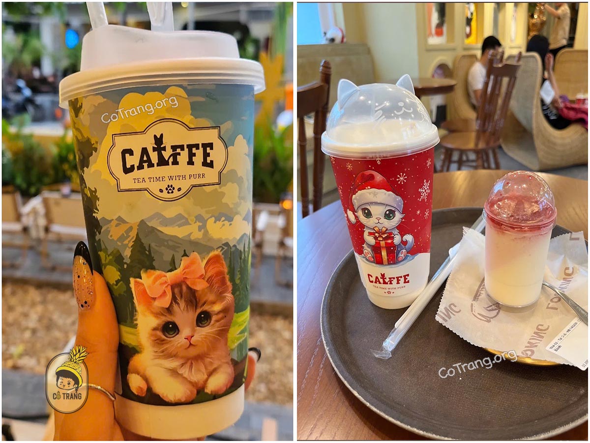 Catffee Đà Nẵng - Quán Caffee của những Bé Mèo xinh đẹp, menu, review
