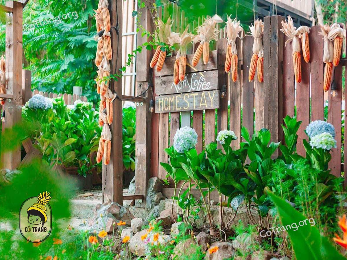 Tom’s Coffee Homestay Nha Trang - Một Đà Lạt Xinh Xắn Trên Đồi, Menu ...