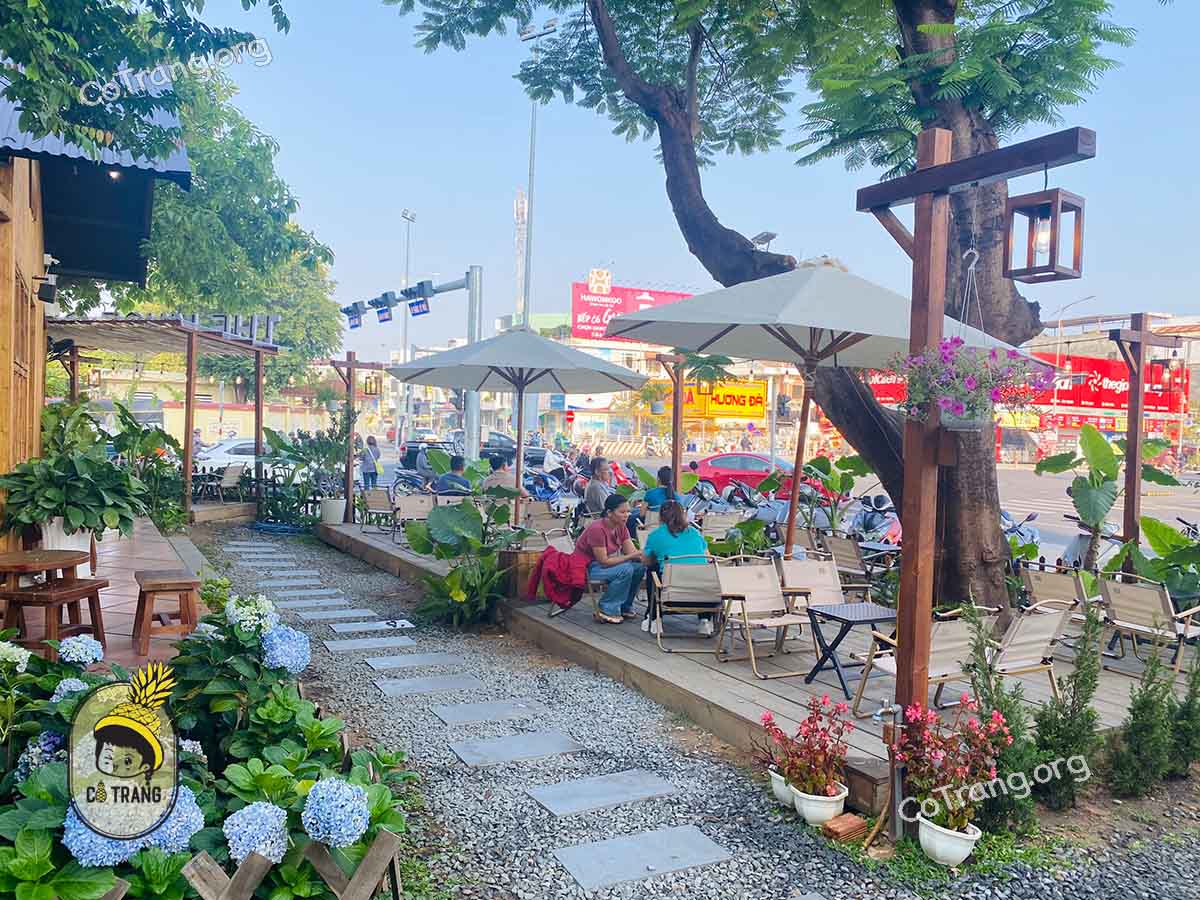 The Muse Coffee Đà Nẵng - Một Đà Lạt nhẹ nhàng, checkin cưng xỉu, menu ...